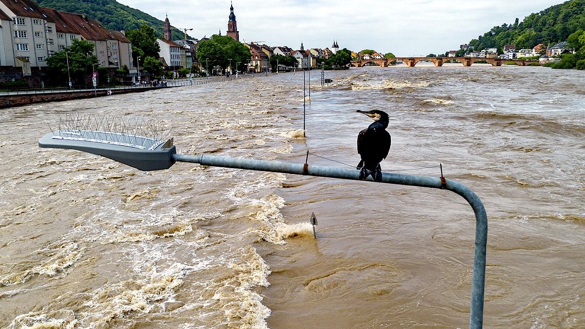 बाढ़ में डूबा जर्मनी...बेमौसम बरसात ने की हालत खराब, देखें भयानक ...