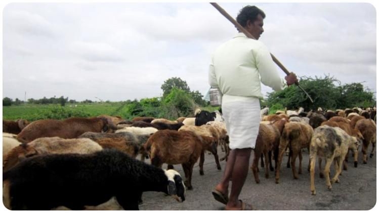 Profitable Garol farming: স্বাদু মাংস, লাভজনক ব্যবসা! বাংলায় বাড়ছে ...