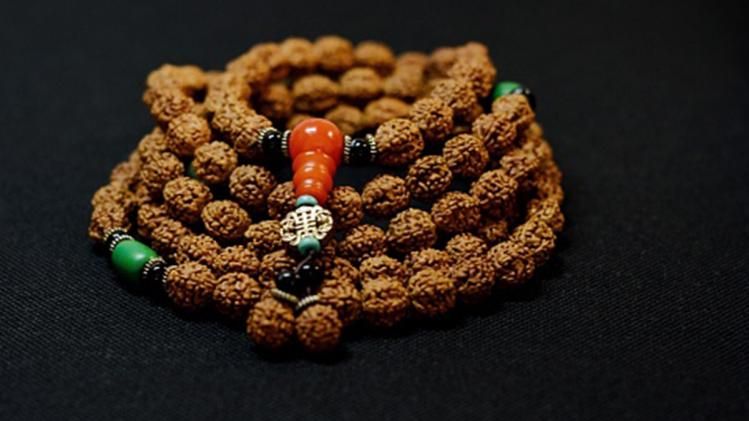 Rudraksha Real Or Fake: কীভাবে চিনবেন ভাল রুদ্রাক্ষ? ধারণ করার আগে ...