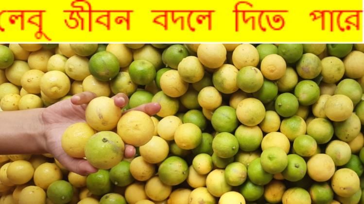 Lemon Upay Vastu Tips: মাত্র ৫ টাকার লেবু জীবন বদলে দিতে পারে, এই টোটকা ...