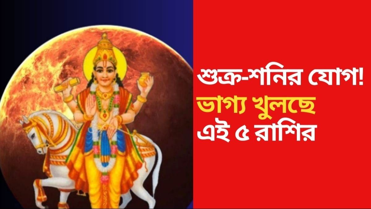 Shukra Gochar 2024: কুম্ভ রাশিতে বিলাসের গ্রহ শুক্র! আয় বৃদ্ধির যোগ এই ...