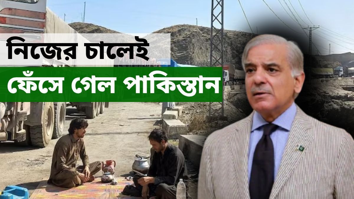 Pakistan Afghanistan Trade - Pakistan Afghanistan Trade: আফগানদের মারে ...