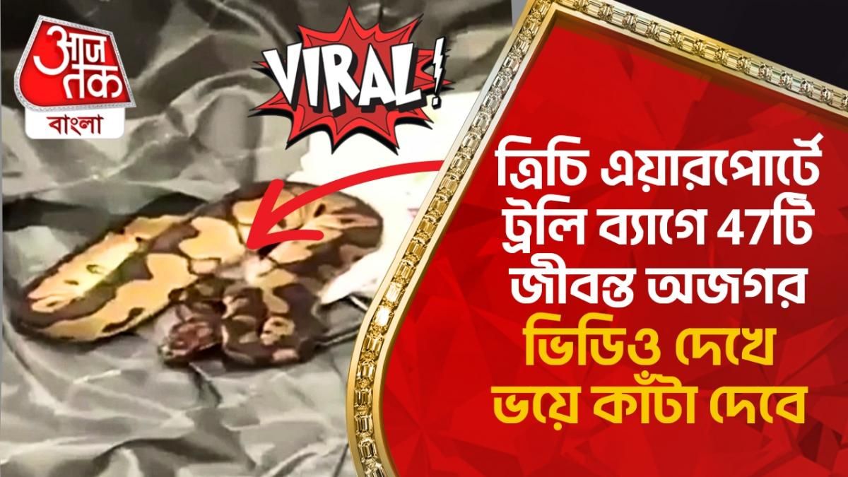 Python Rescued From Tamil Nadu: ত্রিচি এয়ারপোর্টে ট্রলি ব্যাগে 47টি ...