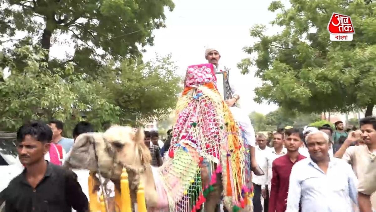 Rajkumar Roat: উটের পিঠে চেপে সংসদে শপথ নিতে এলেন ভারত আদিবাসী পার্টির ...