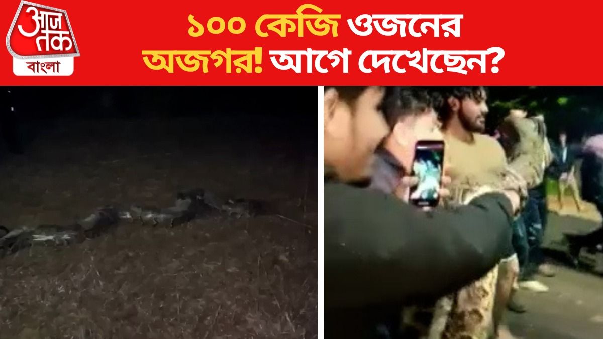 Python Recovered বিশ্ববিদ্যালয় চত্বর থেকে উদ্ধার বিশাল অজগর দেখে চক্ষু চড়কগাছ Aaj Tak Bangla
