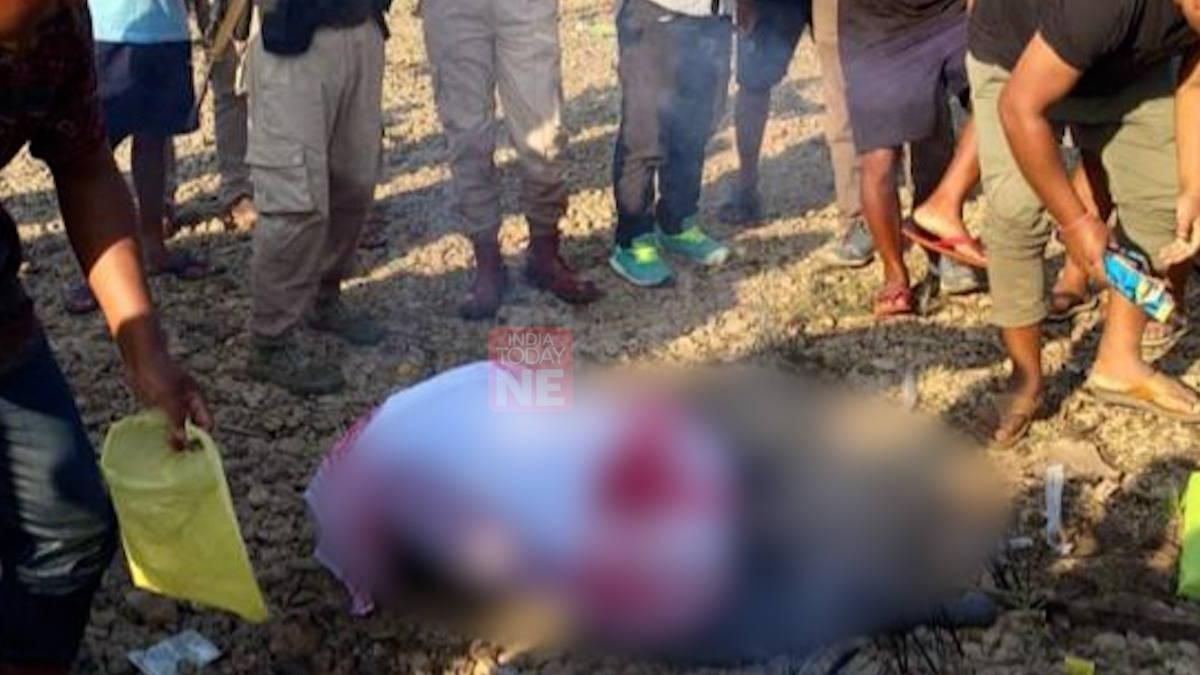 Baby elephant found dead along Assam-Meghalaya border in Hahim, section ...