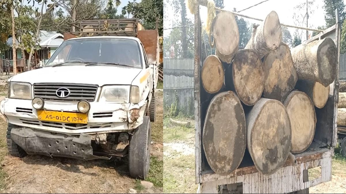 Assam: SSB seizes timber-laden vehicle in Chirang, 3 arrested