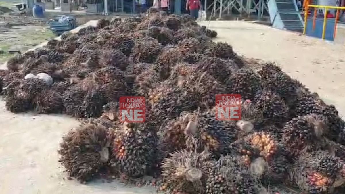 India's first oil palm processing unit commences operations in ...