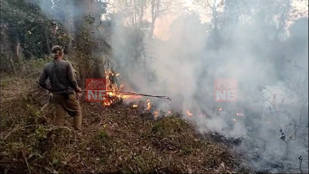 Assam: Fire breaks out in Raimona National Park, suspicions arise over ...