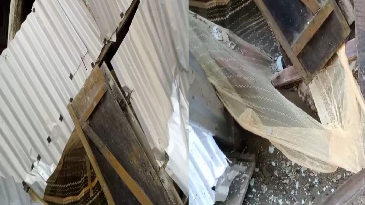 Assam: Wild elephants go on rampage, destroy houses in Chirang