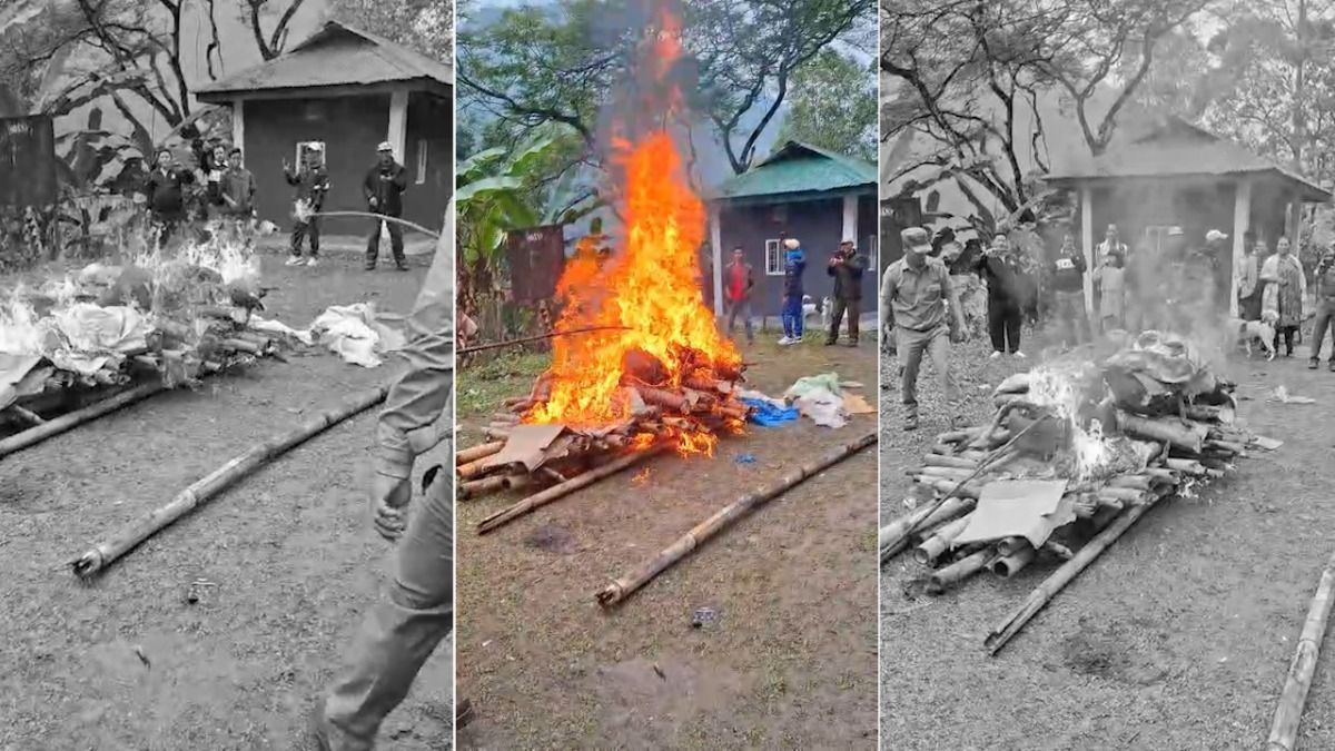 Arunachal wildlife officials seize-burn carcasses of wild animals in ...