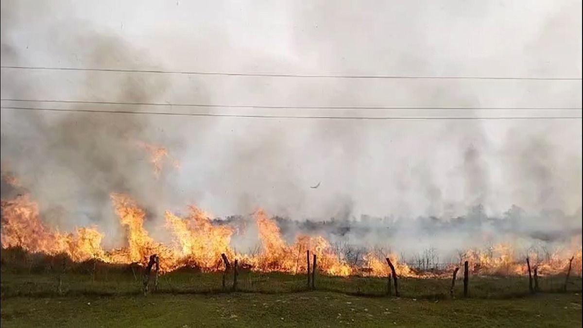 Assam: Suspected arson triggers massive fire in Dhemaji’s protected ...