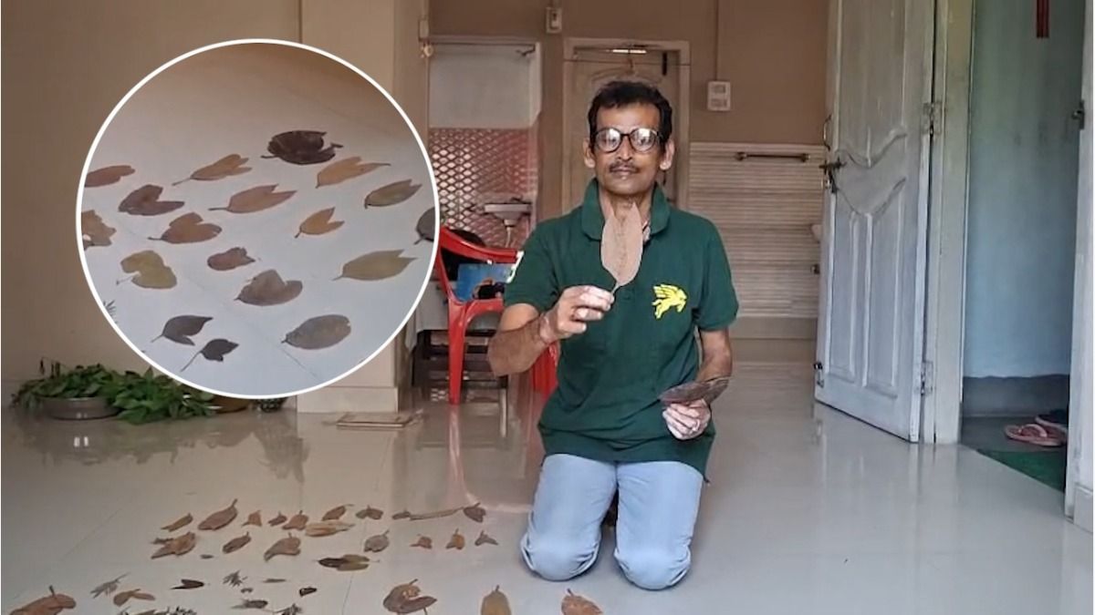 Assam: Dhubri artist Pradip Ghosh showcases rare conjoined leaf ...