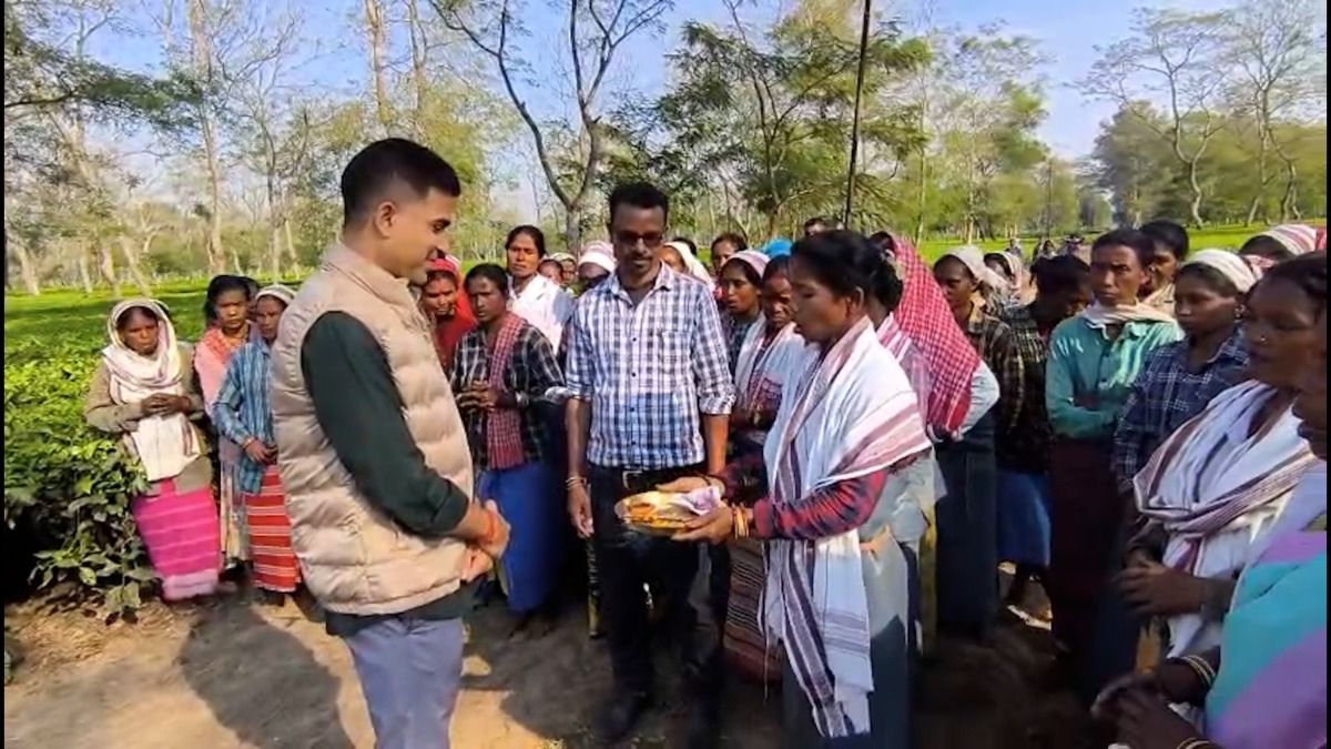 Assam government grants permanent land rights to 3 lakh tea garden ...
