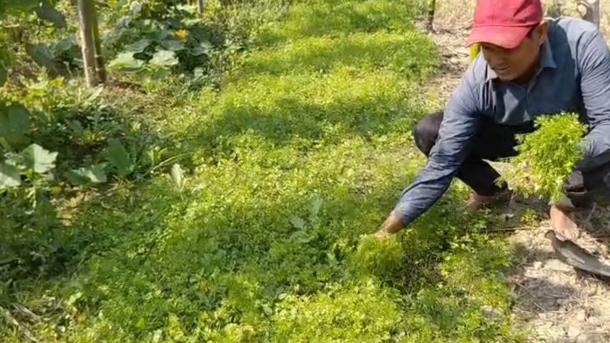 Assam: Ledo farmer Bilayet Hussain sets example of self-reliance ...