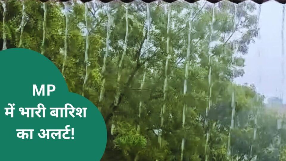 MP में मौसम काट रहा बवाल, फिलहाल बारिश और कोहरे से नहीं मिलेगी राहत - mp rain with hail falling ...