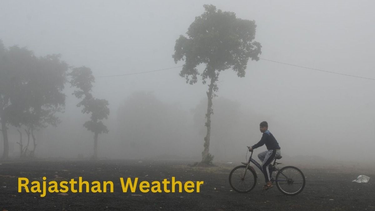 Rajasthan Weather update - घने कोहरे से ढका राजस्थान, सर्द हवाओं ने ...
