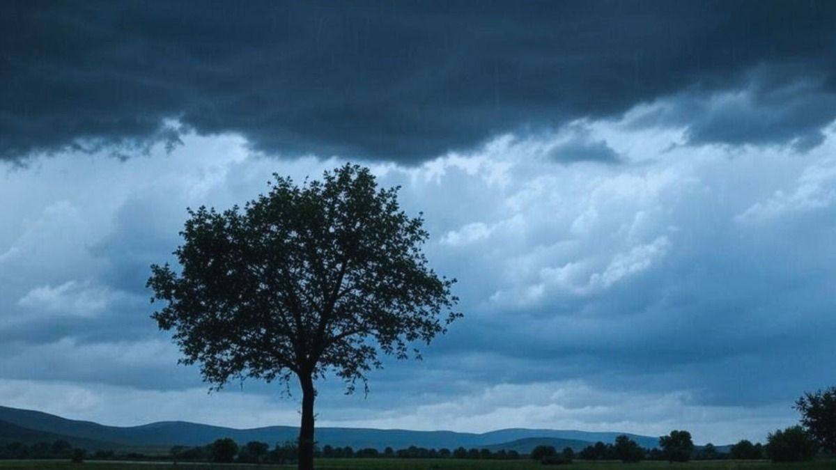 Rajasthan Weather Update: राजस्थान में फिर लौटी ठंड, IMD ने जारी किया कई जिलों में बारिश का ...