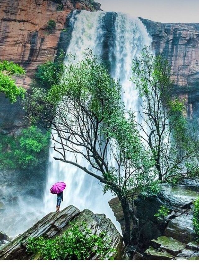 अगर आप भोपाल आए हैं तो देखना न भूलें ये 5 खूबसूरत स्पॉट