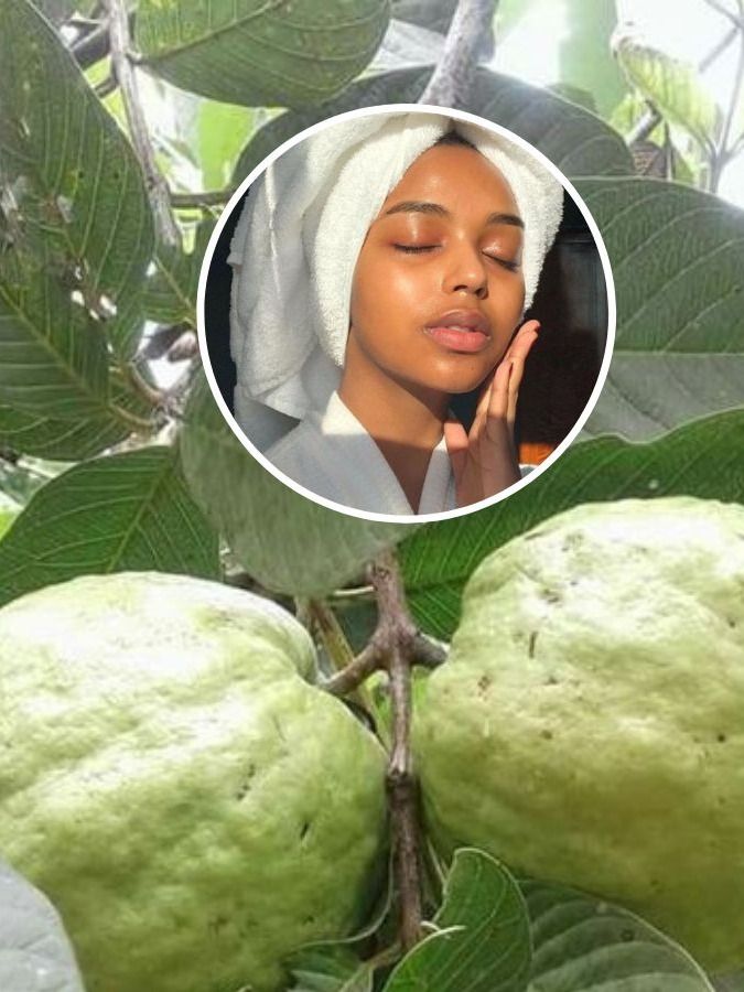 फायदों के खजाने से भरे हैं अमरूद के पत्ते - Benefits drinking boiled ...