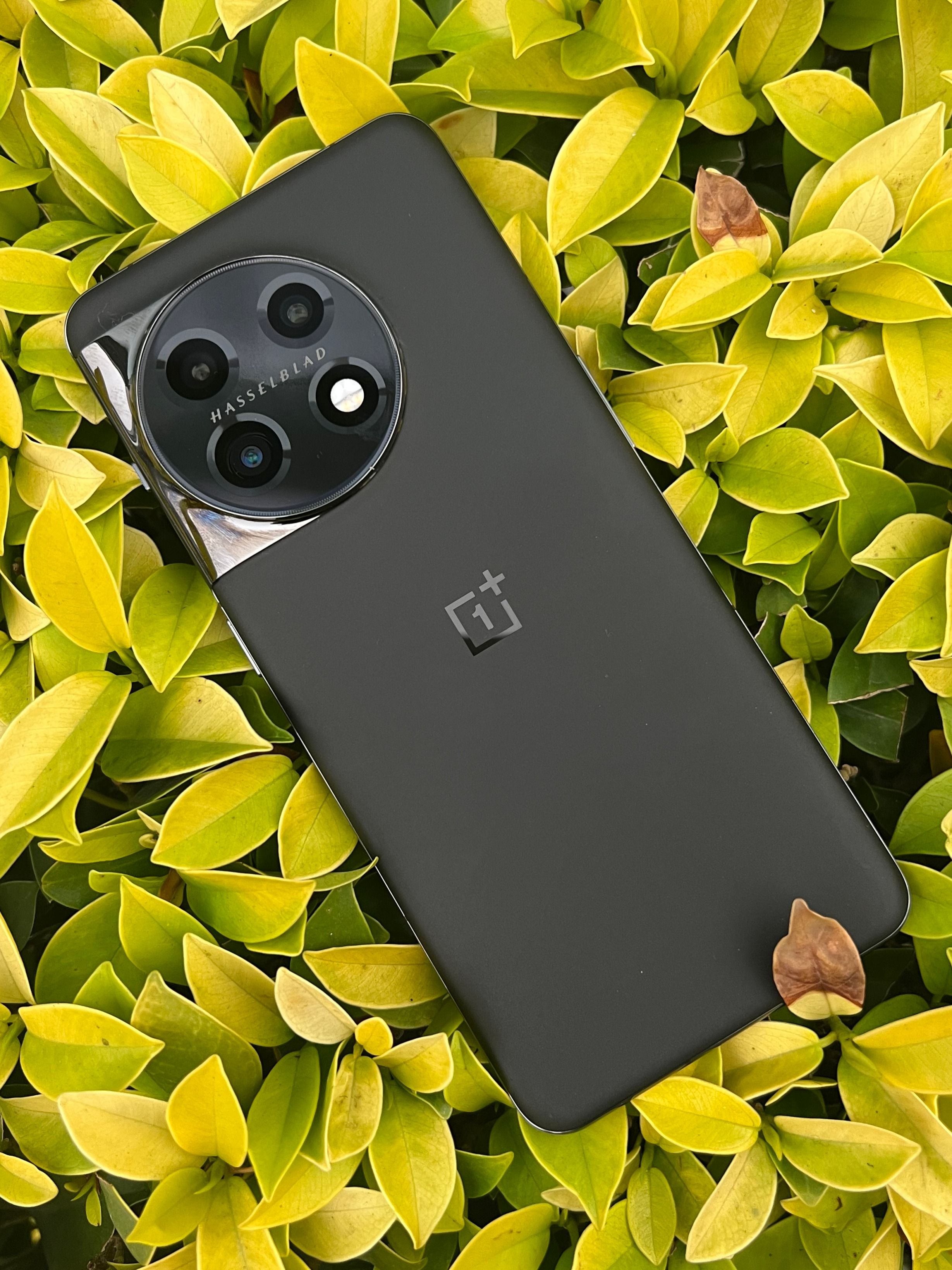 OnePlus 11 5G launched at Rs 56999