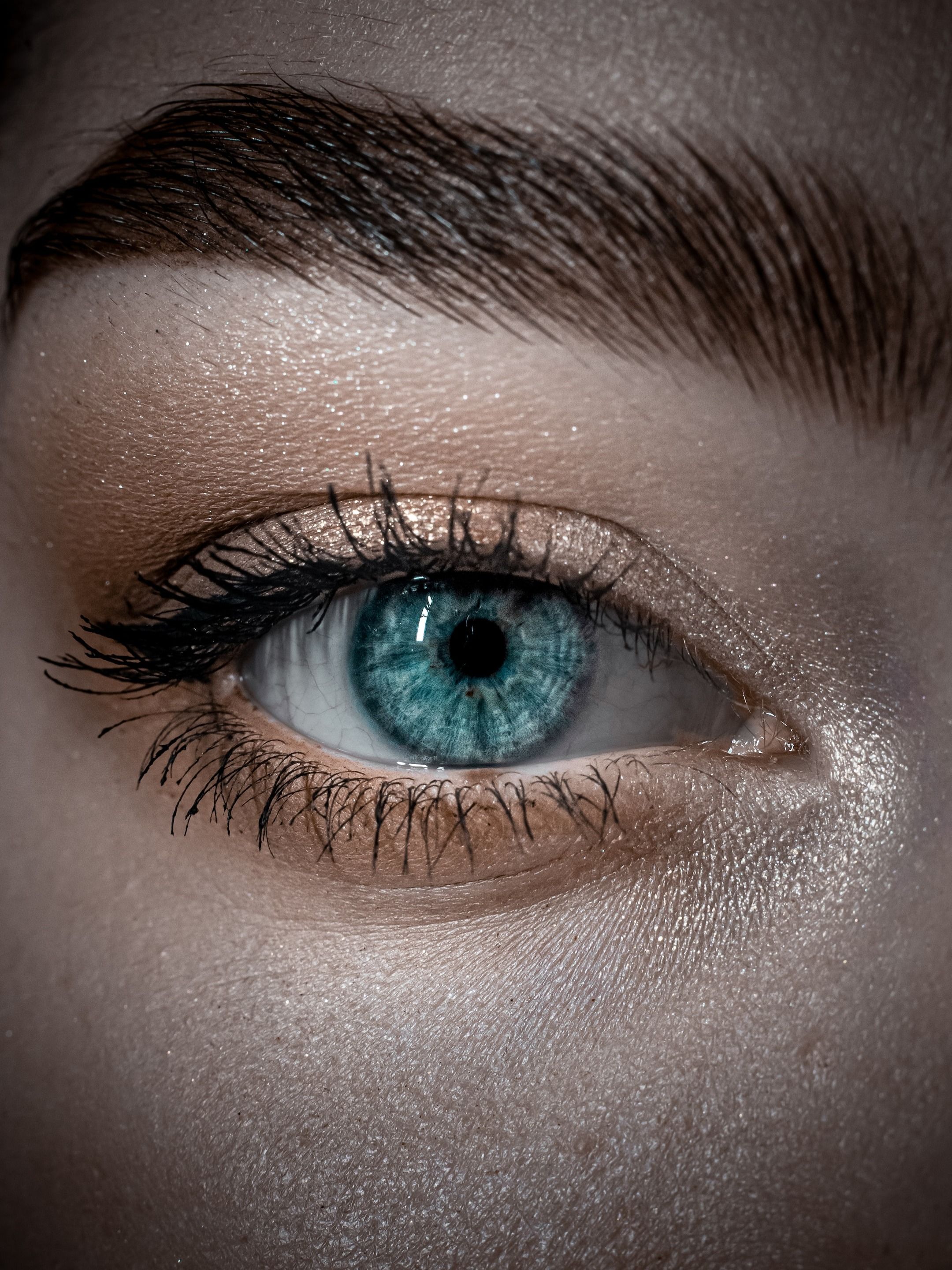 10 Surprising Truths About Your Eyes