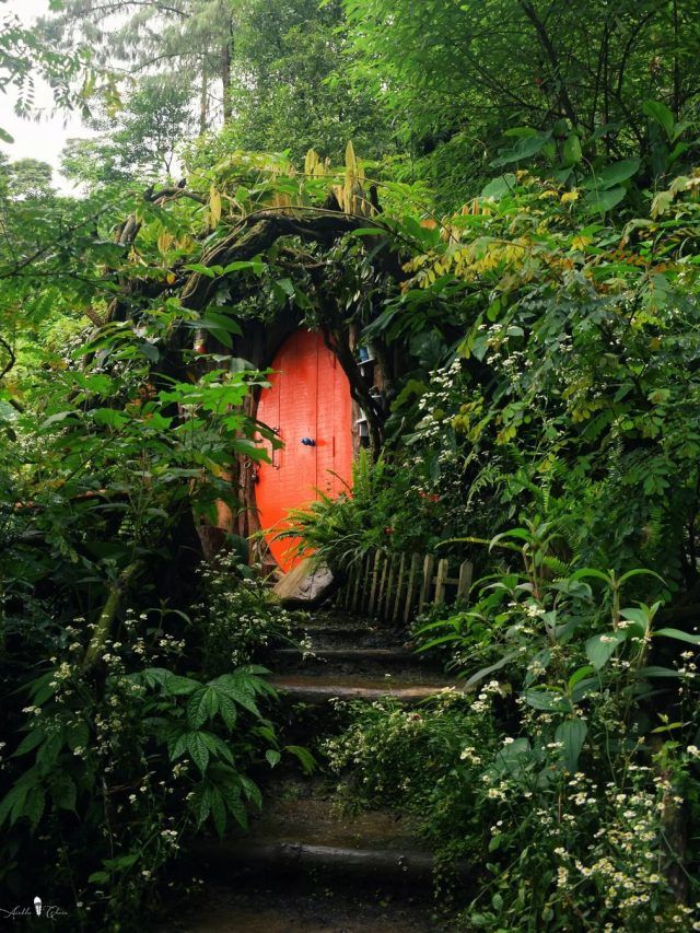 Check this Nagaland's Hobbit House for your bucket list adventures