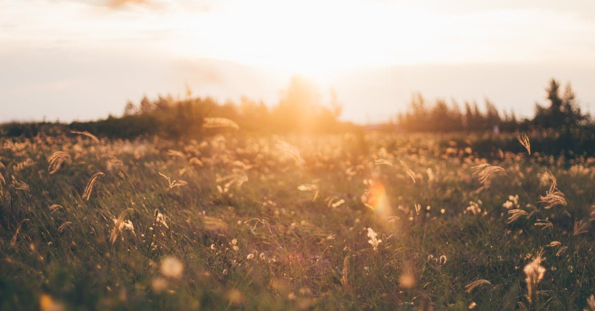 6 Zodiac Signs Which Are Early Risers