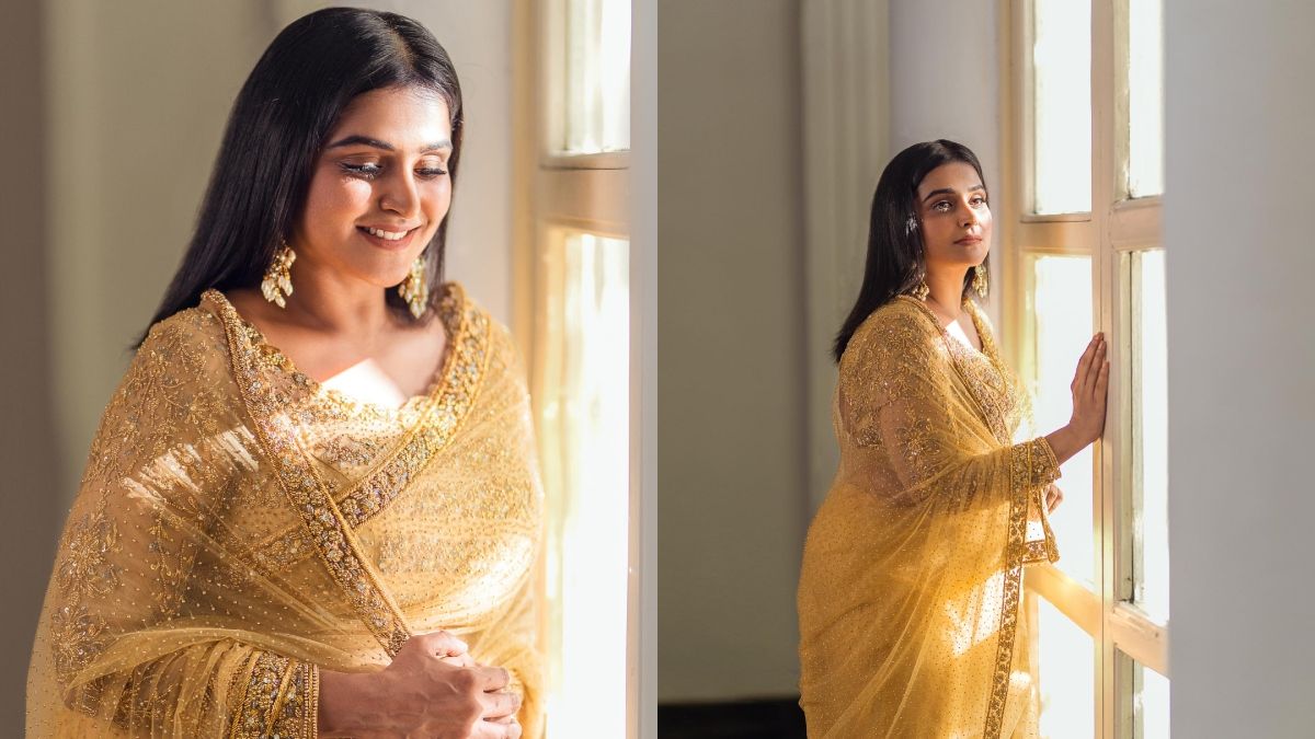 ഡിസൈനർ സാരിയിൽ എലഗന്റ് ലുക്കിൽ രമ്യ നമ്പീശൻ