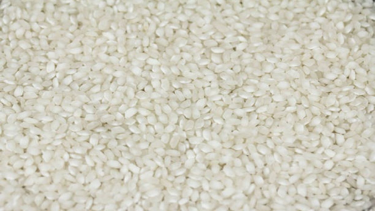 शुगर में भी खाए जा सकते हैं ये चावल, बन सकती हैं ये 5 डिशेज - Sama ke ...