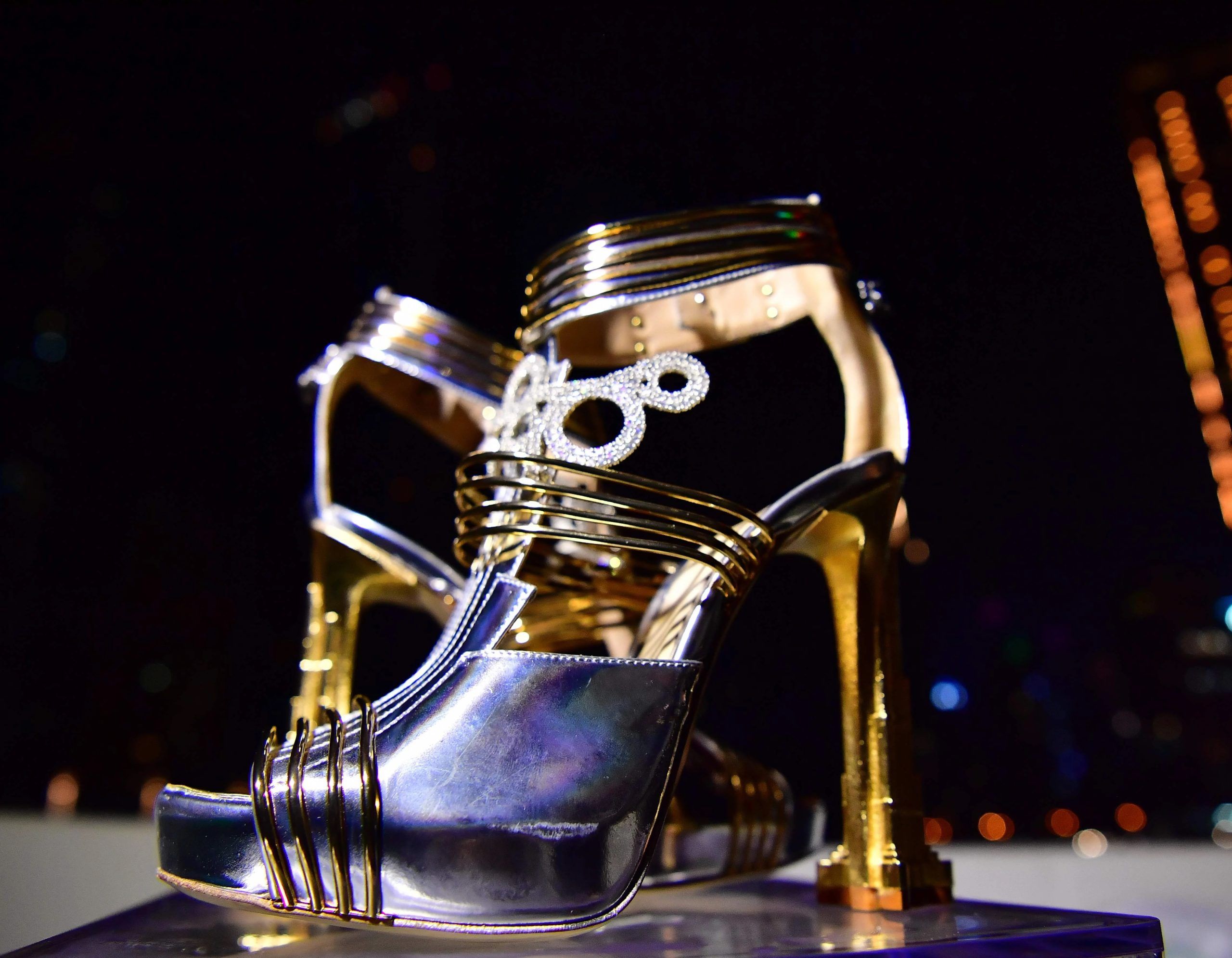 Most Expensive Shoes In The World