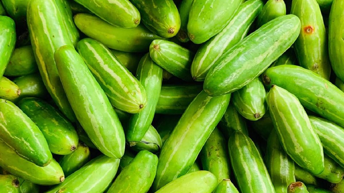 কুদরির ৫ গুণ, রোজ খেলে ডাক্তার দেখাতে হয় না - 5 amazing benefits of ...