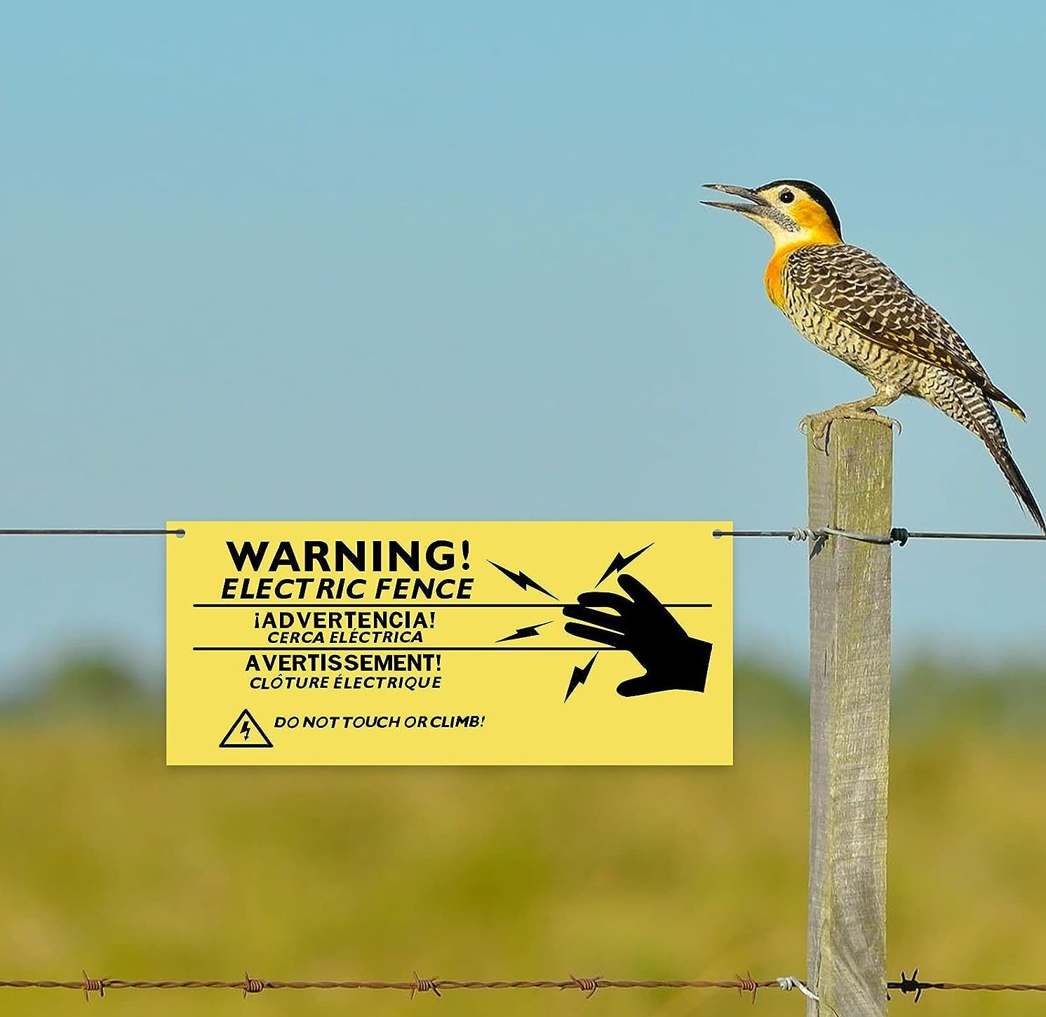 Electric Shock-Proof Animals