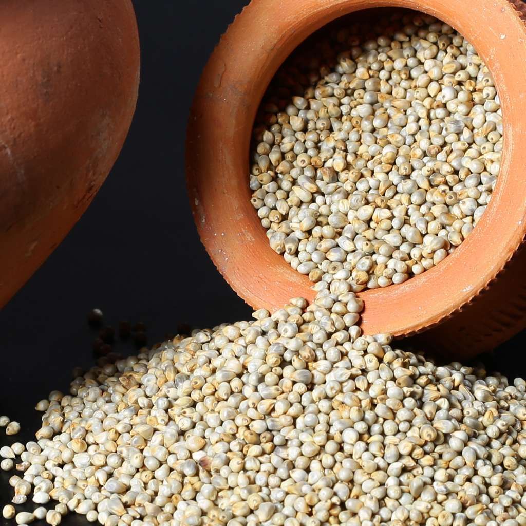 Indian millets that are fast gaining global popularity