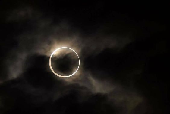 Chandra Grahan 2023: ग्रहण में क्या होता है दूब घास का महत्व ...