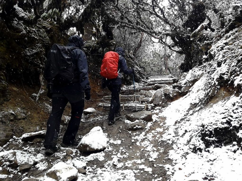 Dzongri Trek: Conquer Heights, Capture Serenity in Sikkim's Alpine ...