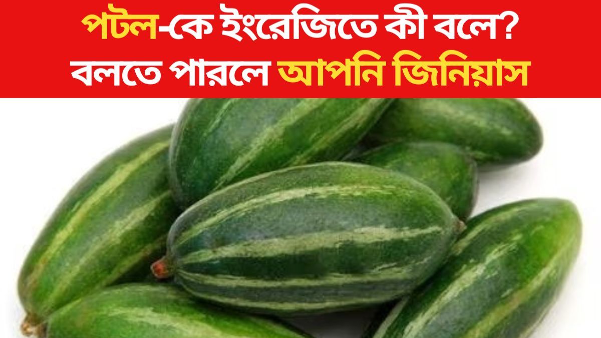 বহু লোক জানেন না, বলুন তো পটল-কে ইংরেজিতে কী বলে? - English name of ...