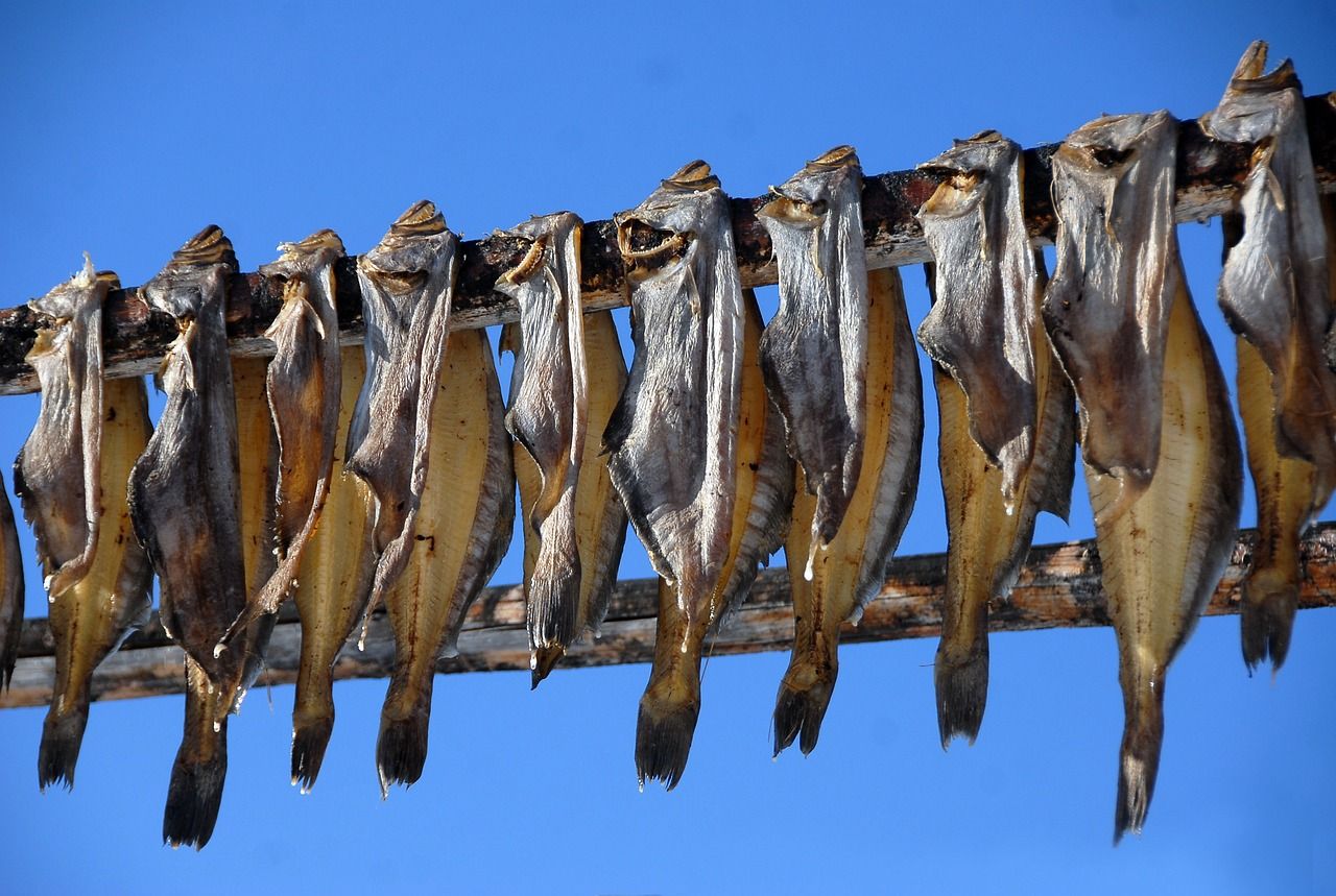 Health Benefits of Dry Fish