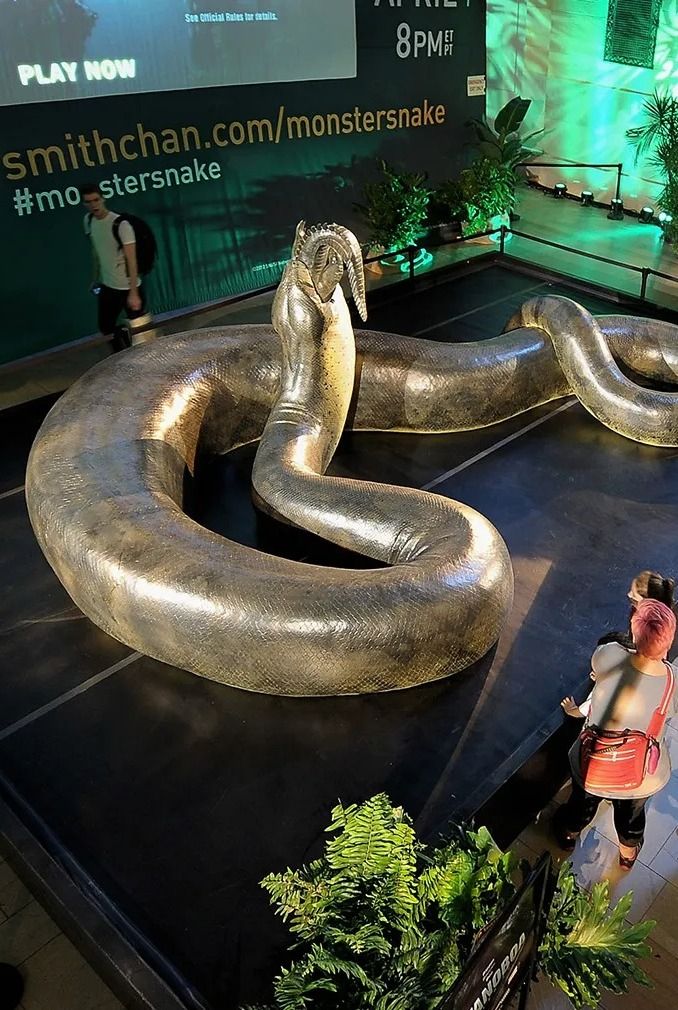 Longest Snakes in the World