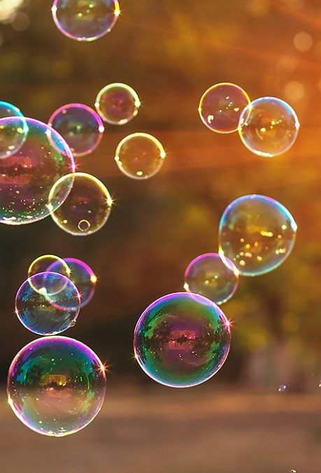 Most Delicate and Fragile Things in Life