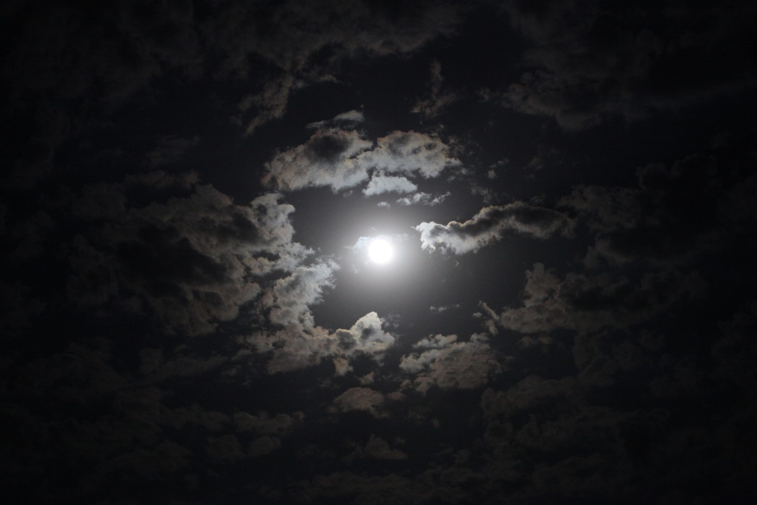 Paush Purnima 2024: All about its significance in Hinduism, Puja ...