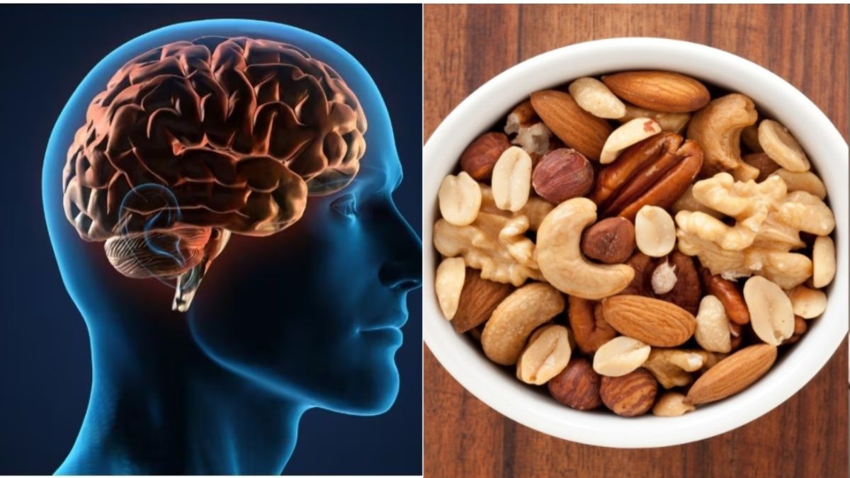 दिमाग की ताकत दोगुना कर देंगे ये ड्राई फ्रूट्स, ब्रेन के लिए हैं ...