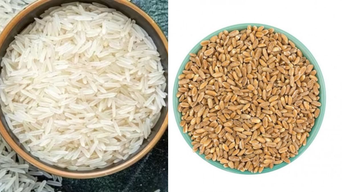 চাল-গমের ধারেকাছেও ঘেষবে না পোকা, ৫ উপায়ে তাড়ান - How to get rid of ...