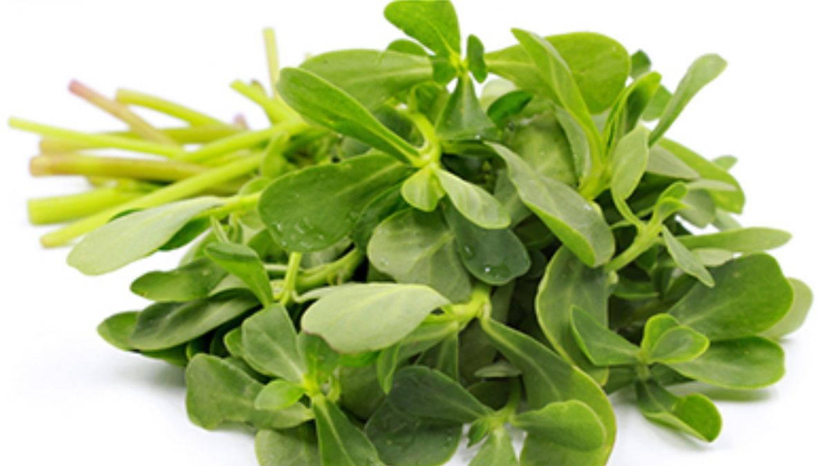 রাস্তার ধারে জন্মায়, গ্রাম বাংলার এই শাক রুখে দেয় ক্যান্সার ও সুগার ...