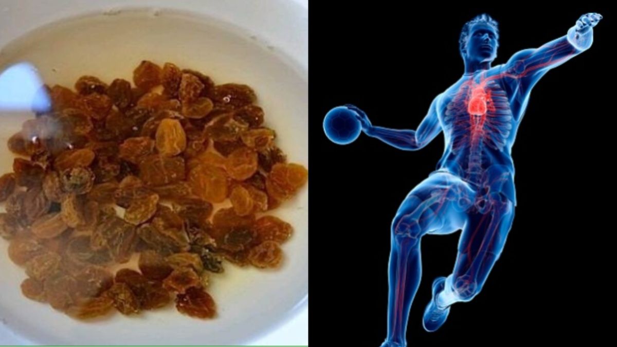 अंग-अंग में ताकत भर देता है ये सस्ता ड्राई फ्रूट, बुढ़ापा रहता है दूर ...