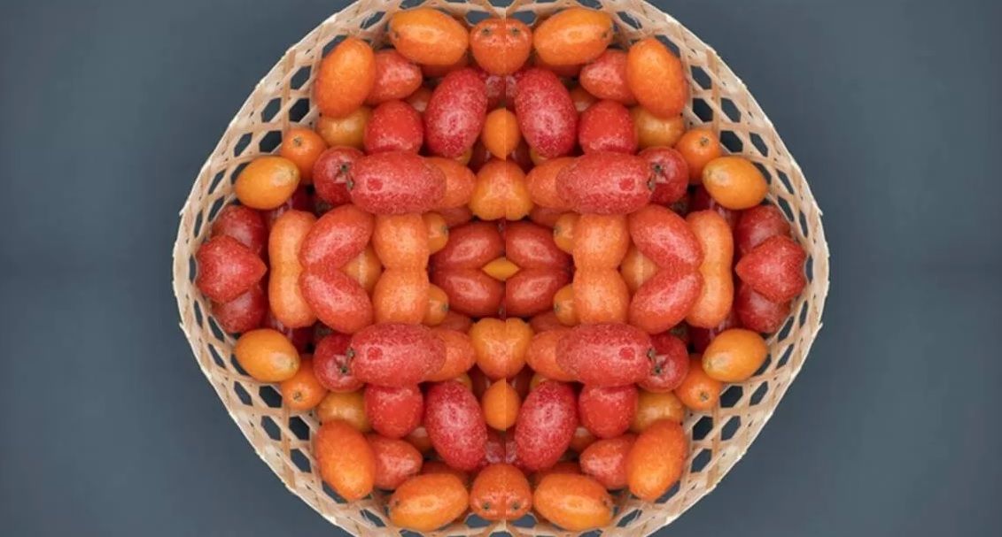 Tart Temptations: Exploring the Himalayan Silverberry (Lapsi) of Sikkim