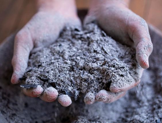 आपके लिए राख, पौधों के लिए है खजाना, जानें इसके जादुई फायदे - Ash is ...