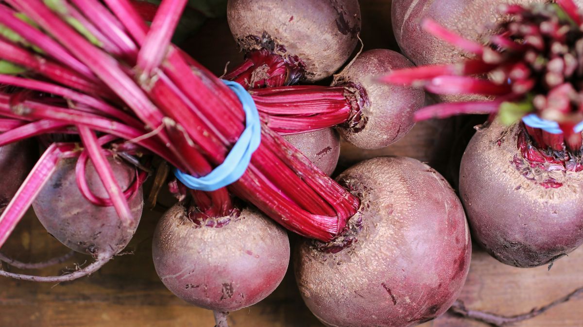 इन लोगों को नहीं खाना चाहिए चुकंदर