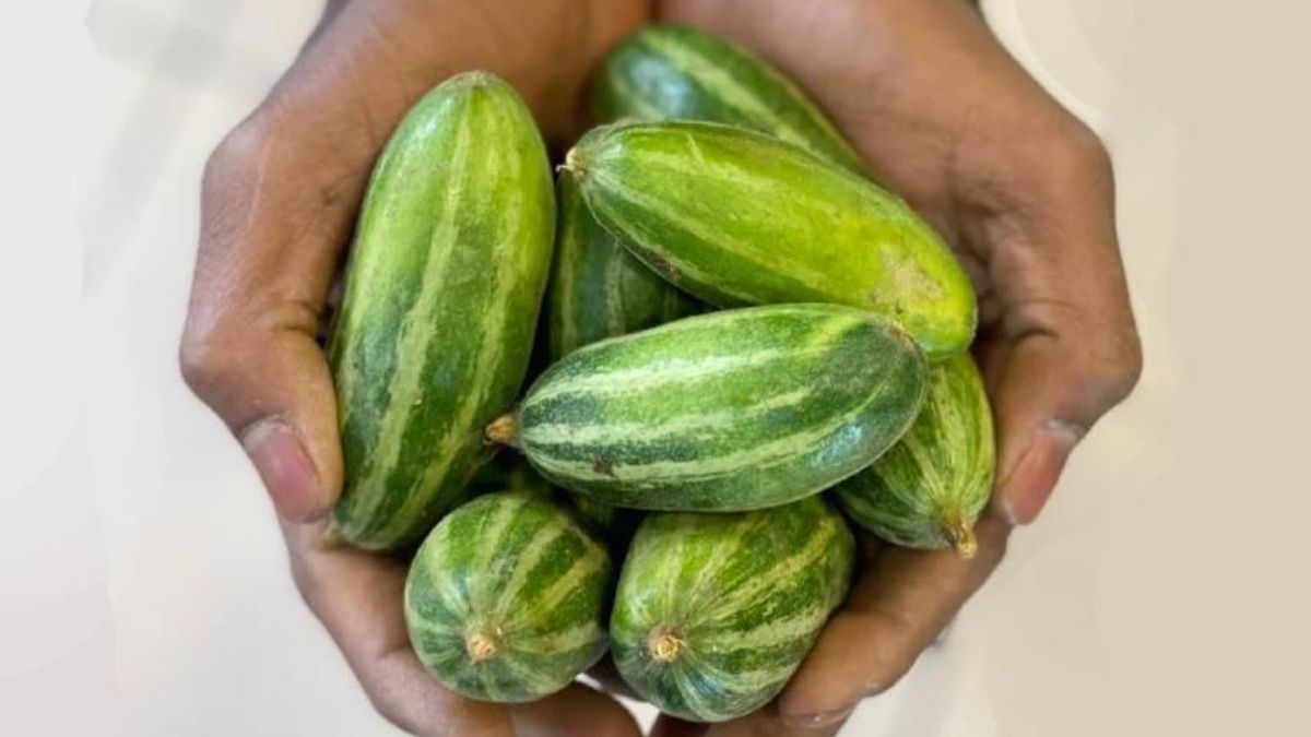 পটলকে ইংরেজিতে কী বলে? অধিকাংশ লোকই জানেন না - What potol called in ...