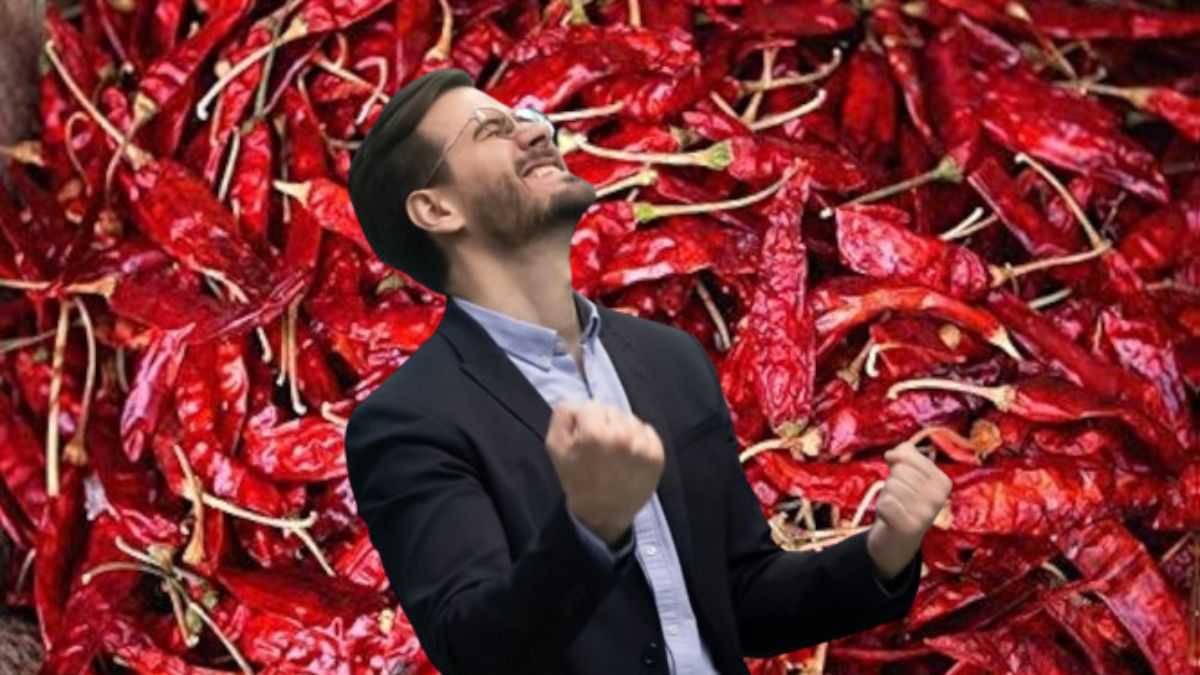 শুকনো লঙ্কার ছোট্ট টোটকা, চাকরির ইন্টারভিউ সফল হবেই - Astro tips for ...